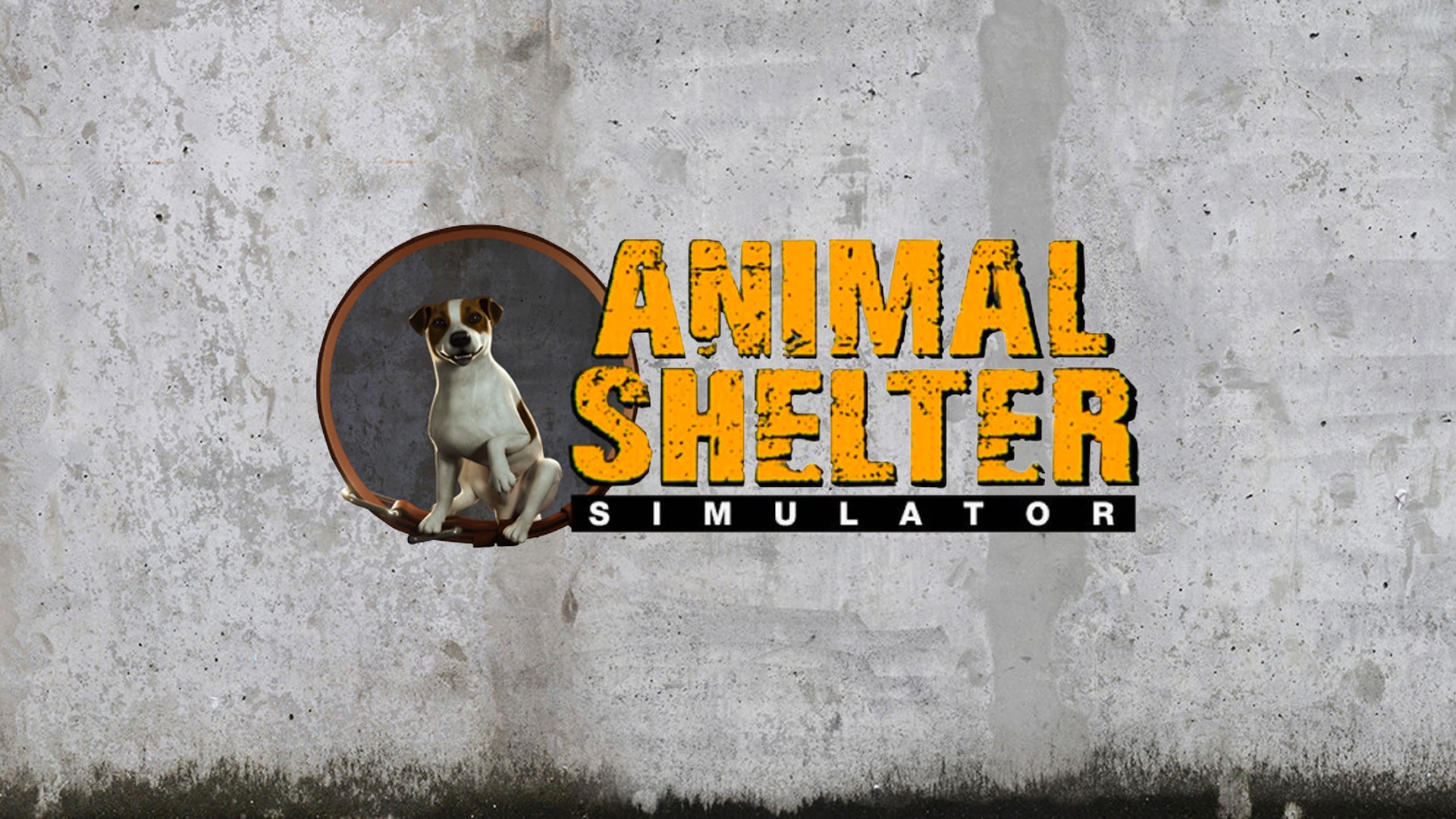 Ejecute Animal Shelter | NVIDIA GeForce NOW